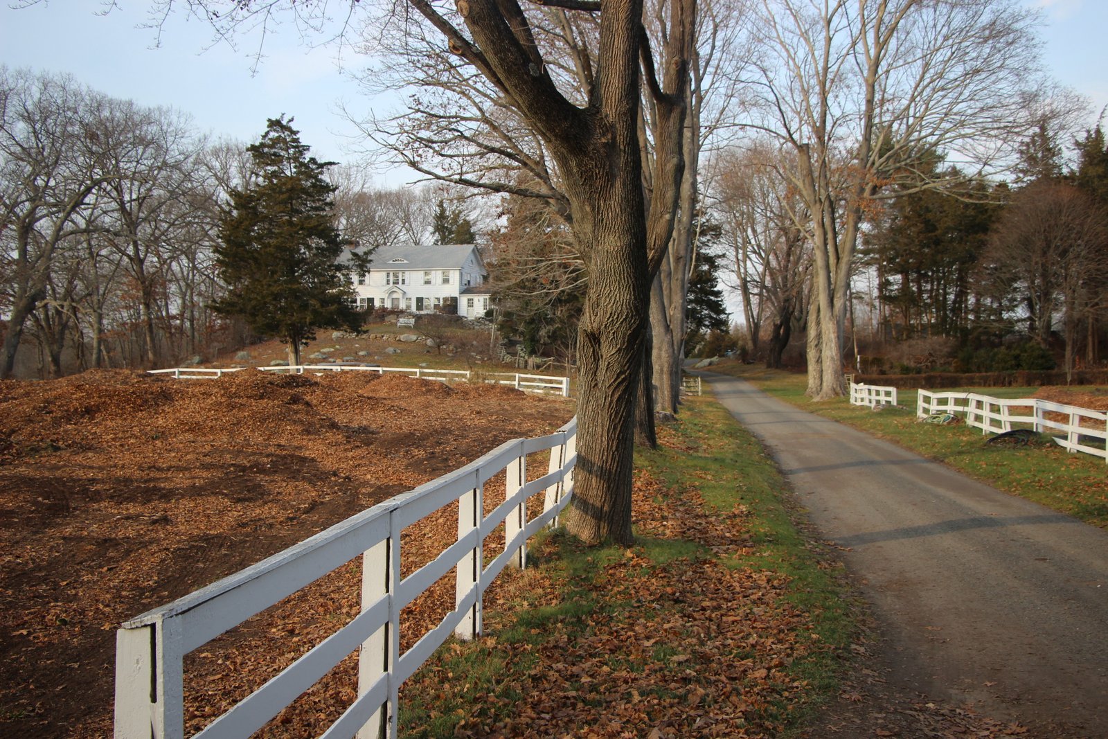 Barberry Hill Farm: Late Fall Farm