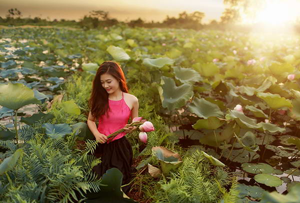 Vu Thuy Dung and Lotus Flower - Asian Girl