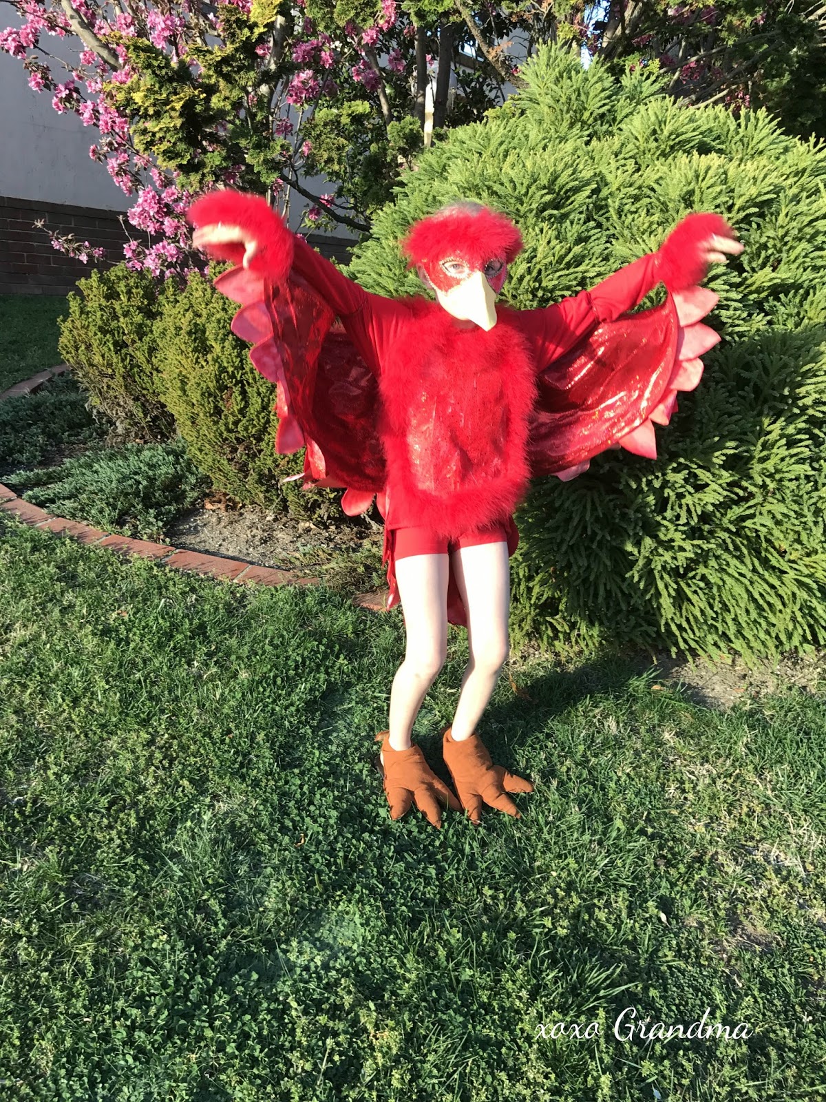 xoxo Grandma: Make a Child's Red Bird Costume