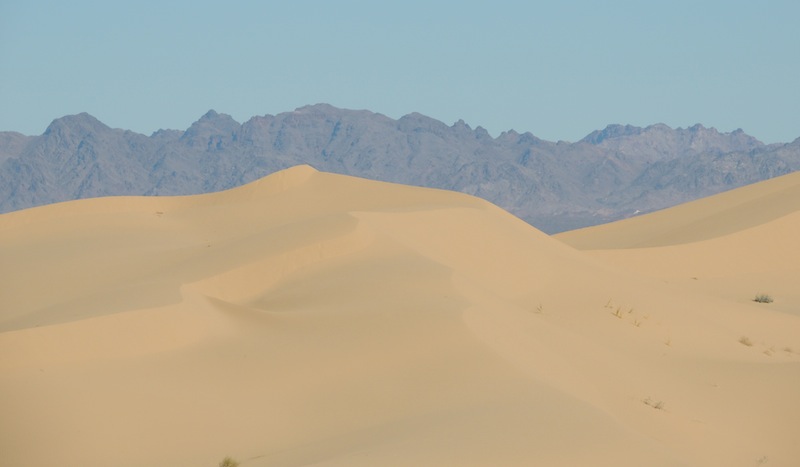 mnkcusa: Yuma AZ, Imperial Sand Dunes