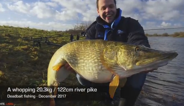 International Fishing News: VIDEO: monster 20.3 kg pike caught while ...