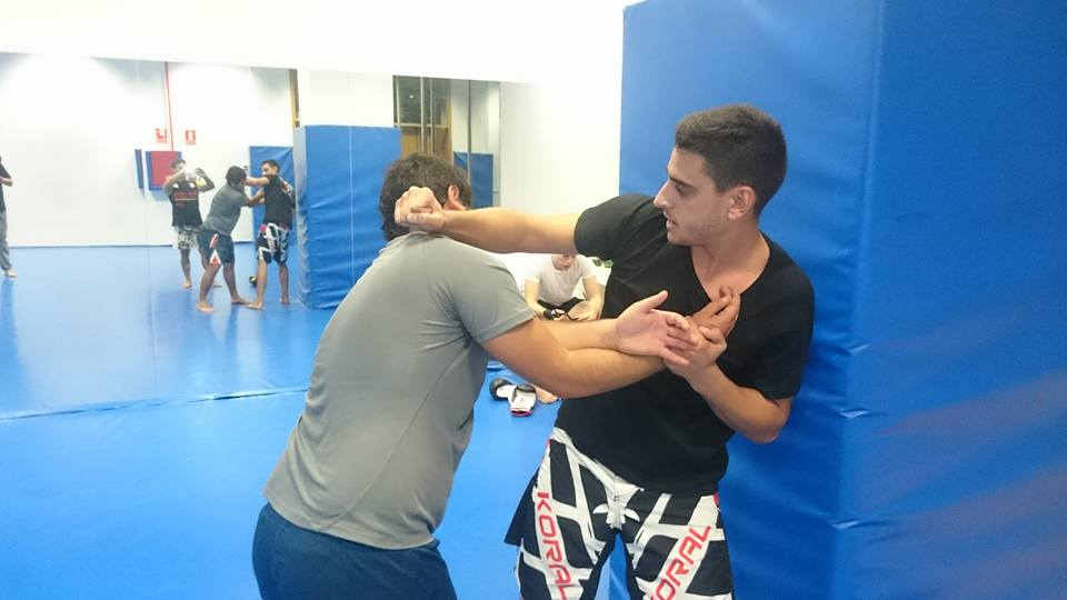 Guerreros de las Artes Marciales: Los siete componentes de la defensa ...