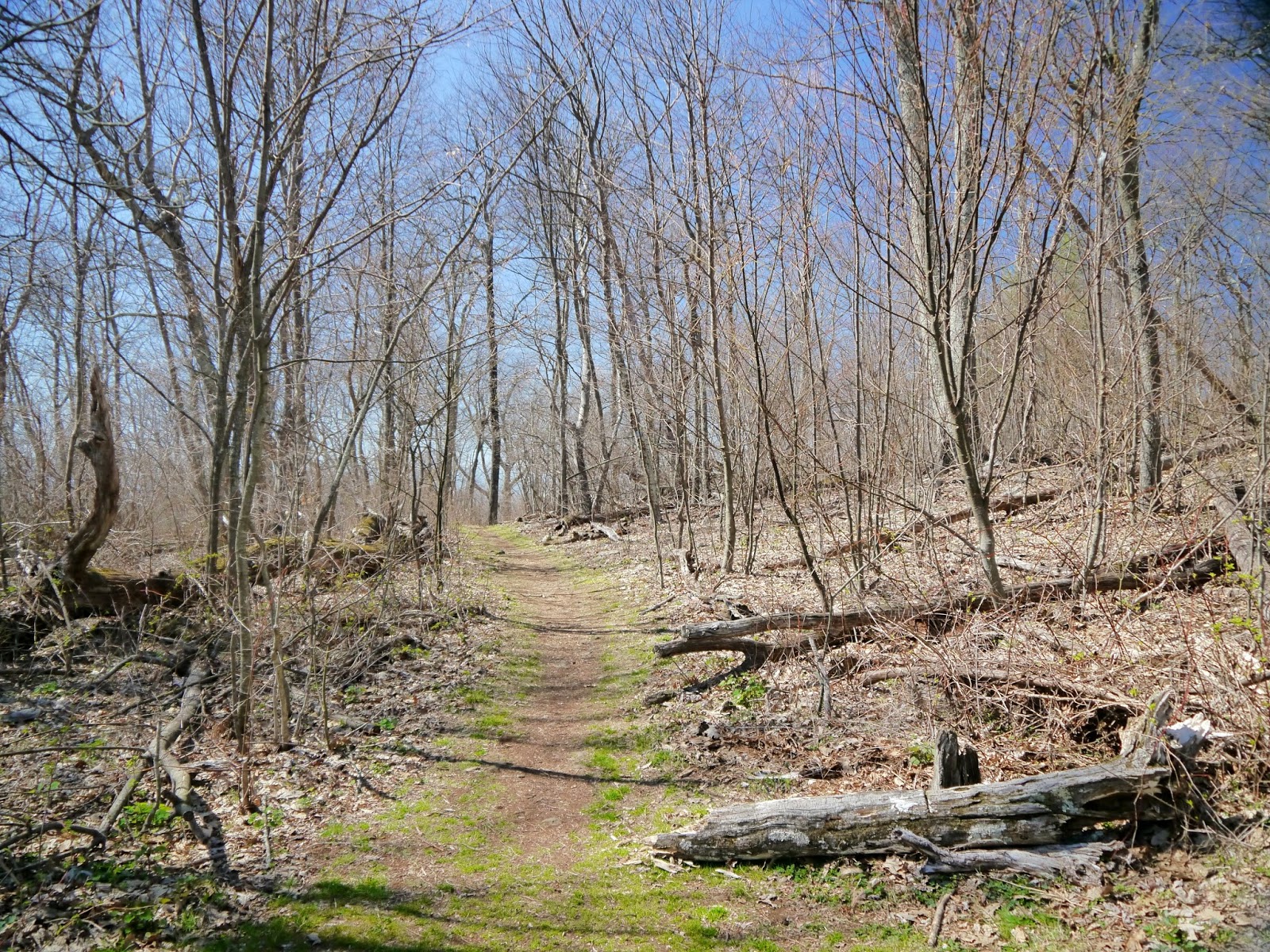 American Travel Journal: Riprap Trailhead to Blackrock Gap ...