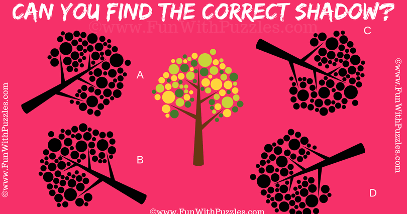 Observation Test: Visual Brain Teaser for Adults with Answer