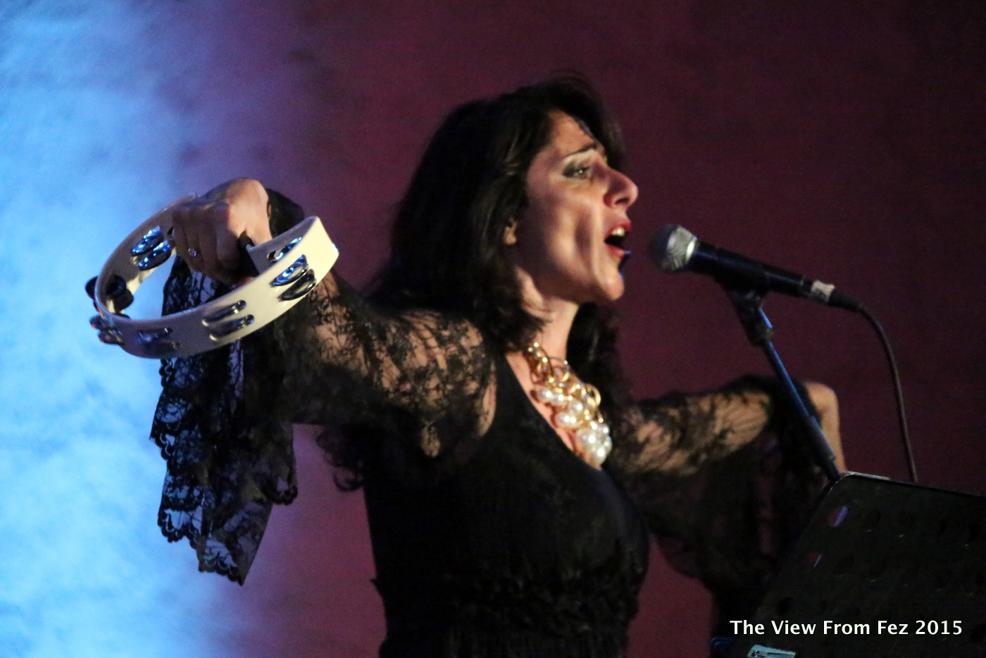 THE VIEW FROM FEZ: July 2015