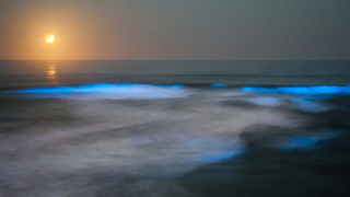 Olas fluorescentes iluminan una playa de California