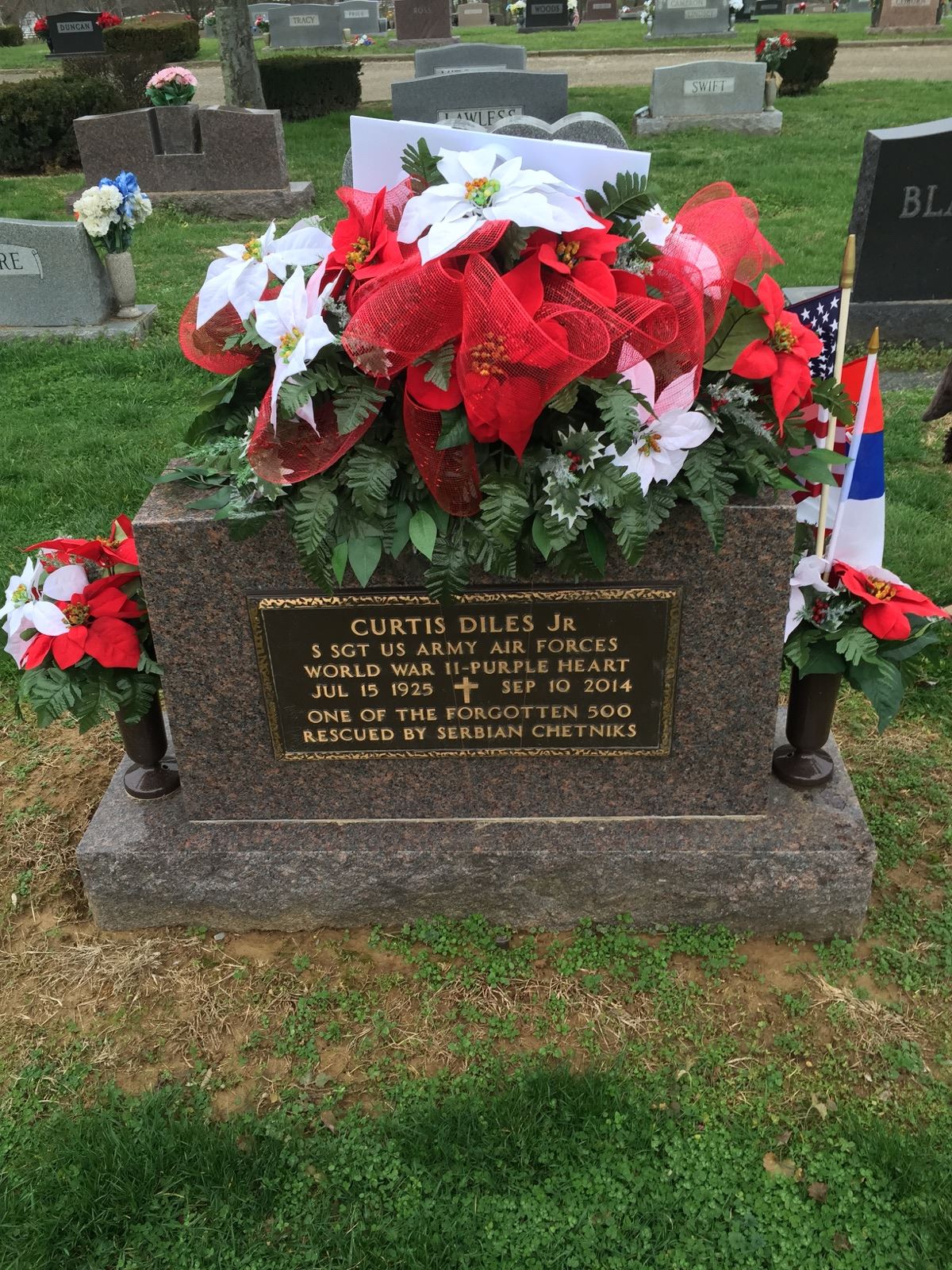 General Draža Mihailovich: WWII American Airman Curtis Diles, Jr ...