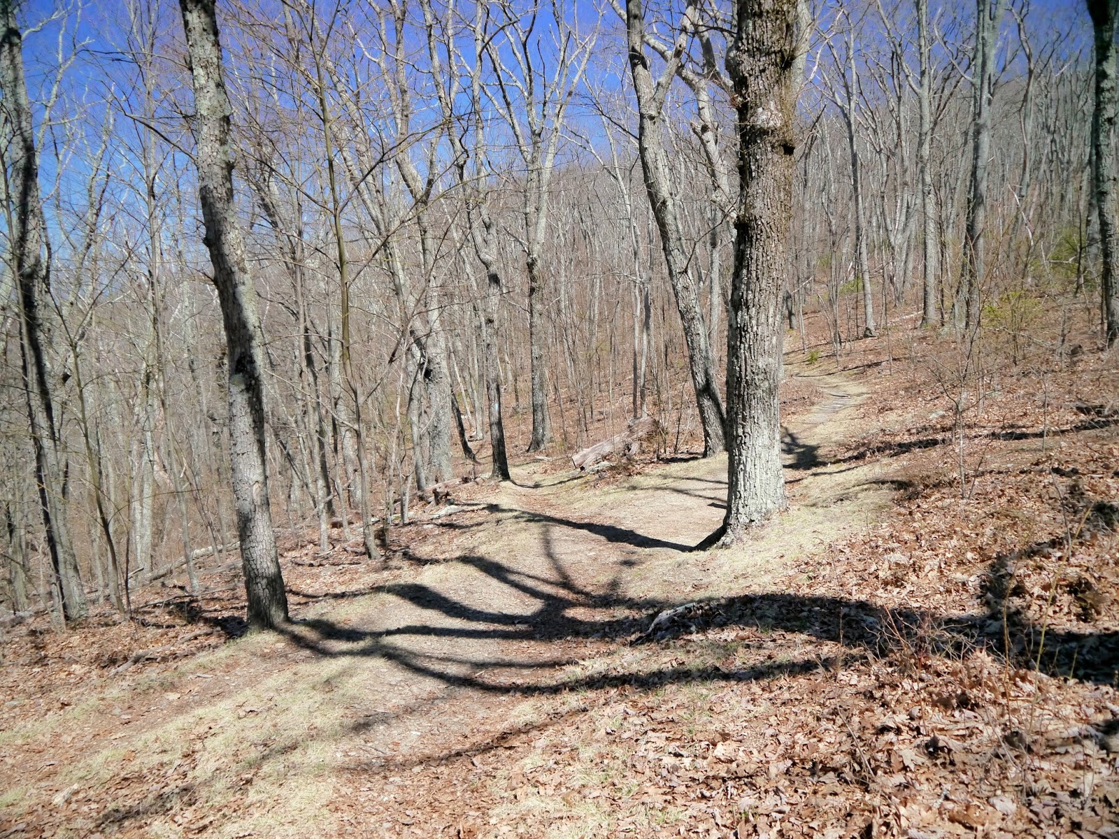 American Travel Journal: Wildcat Ridge Trailhead to Riprap Trailhead ...