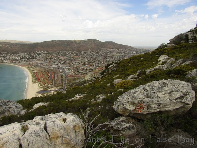 Trappieskop Spitskop Slangkop hiking among flowers