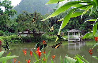 mahbubmasudur: animated nature, animated nature image, animated nature ...