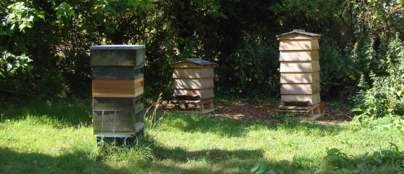 Nightingale Farm: Bees and Honey
