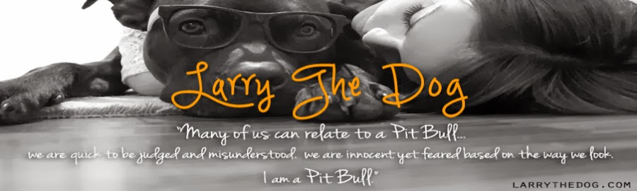 Breed Specific Legislation