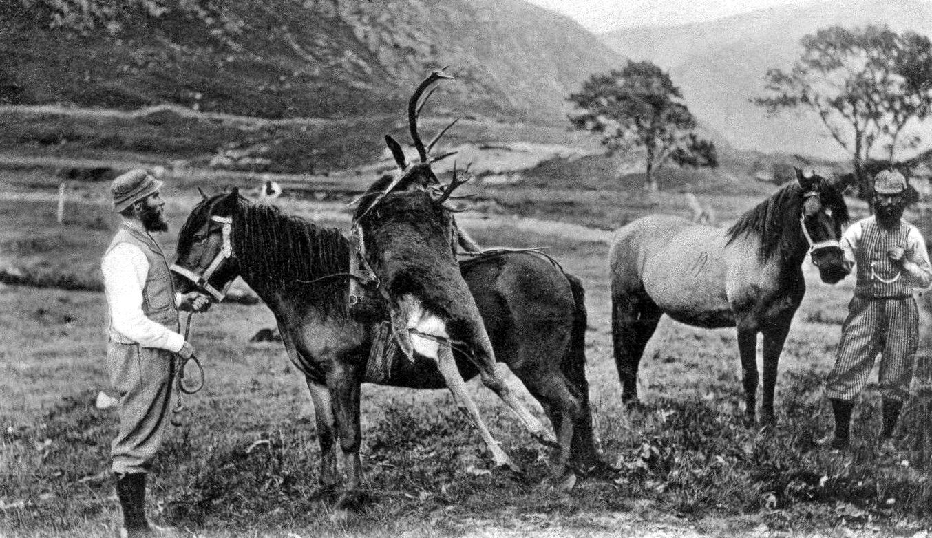 Tour Scotland: Old Photograph Deer Hunters Glen Feshie Scotland