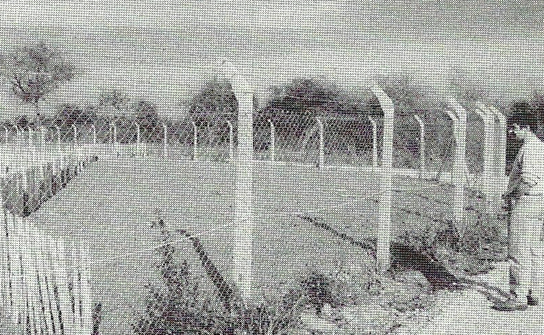 The Hermitage: Atching Tan