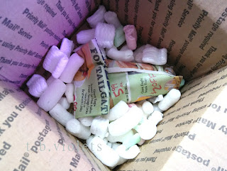 How To Pack a Plant for Shipping