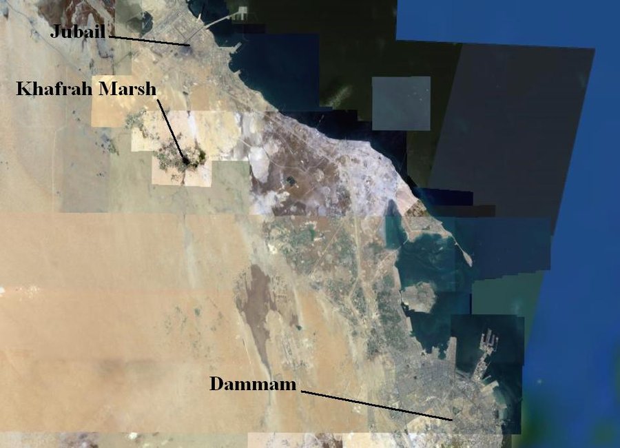 Birds of Saudi Arabia: Khafrah Marsh - Location Details