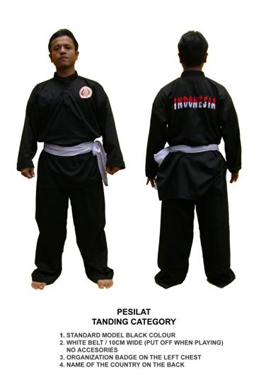 Nanang and Friends Foundation: THE INTERNATIONAL PENCAK SILAT ...