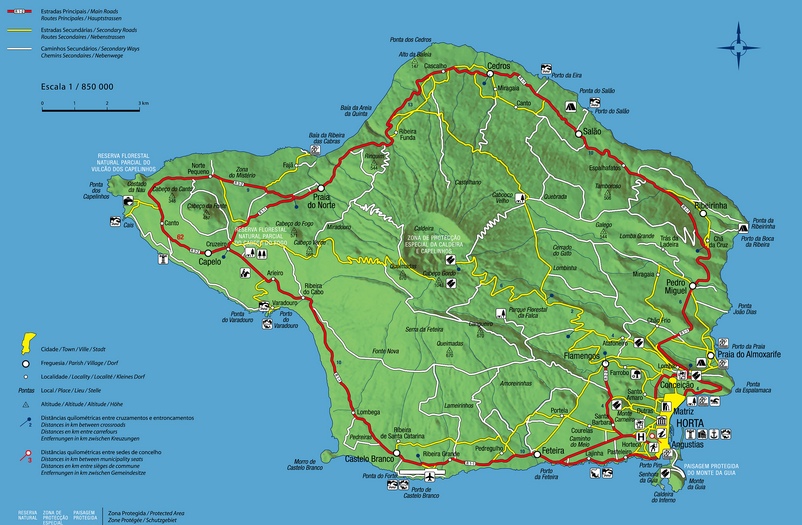 História e Memória: A Ilha do Faial