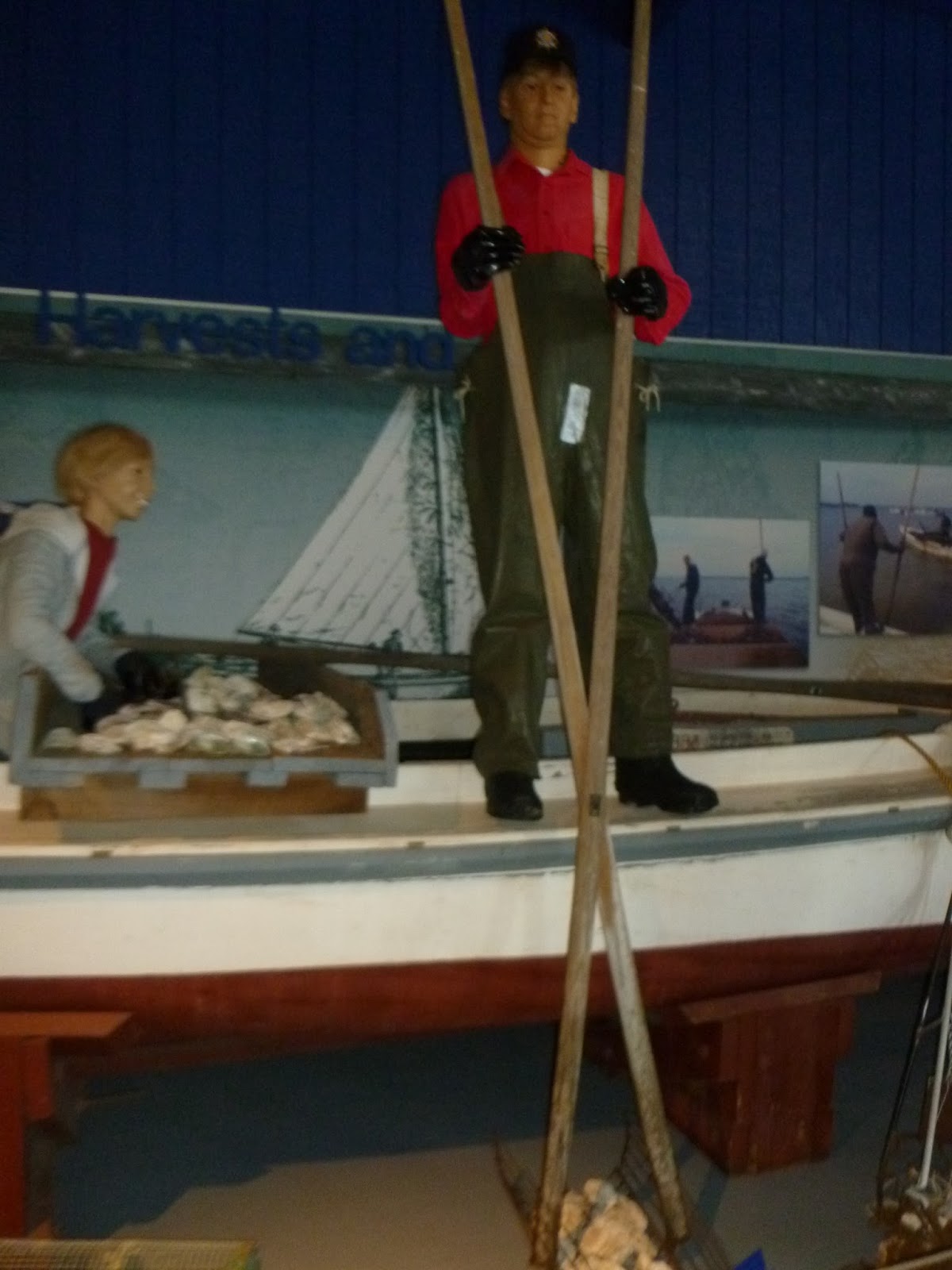 On the Trail of Discovery: The Flat Serina Project - Continued