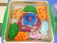 Mrs. McDonald's 4th Grade: Make a Cell Model Project
