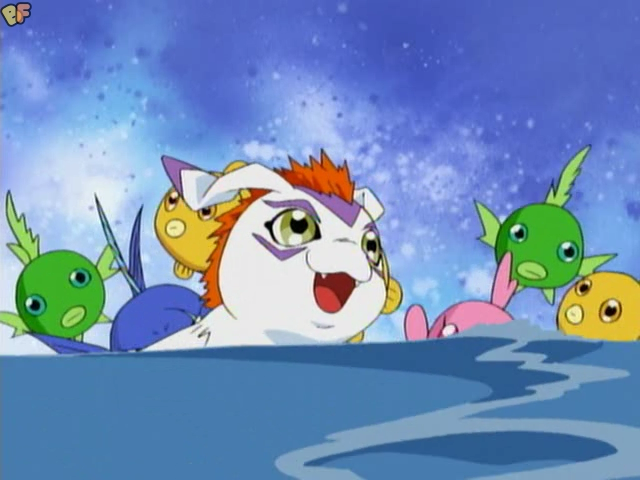 Digi-Arquivo: Gomamon ~ PMD || Acervo de Imagens de Digimon e Pokémon ...