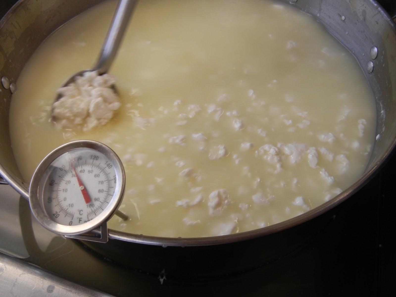 The Blueberry Files: Cheesemaking Workshop with Appleton Creamery