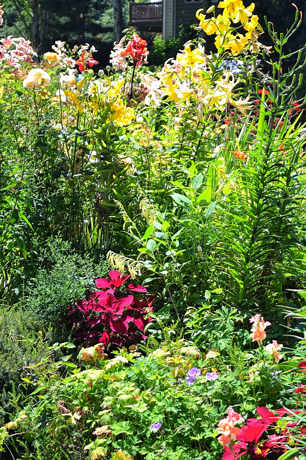 The Outlaw Gardener: The Garden of Paula & Duane Rutan