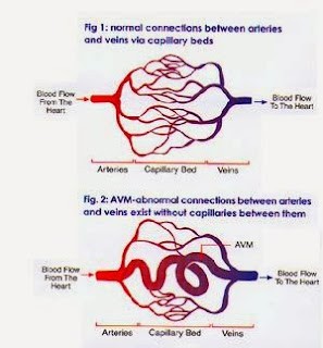 My Experience on the Trans-Siberian Railway : Krasnoyarsk; What is an ...