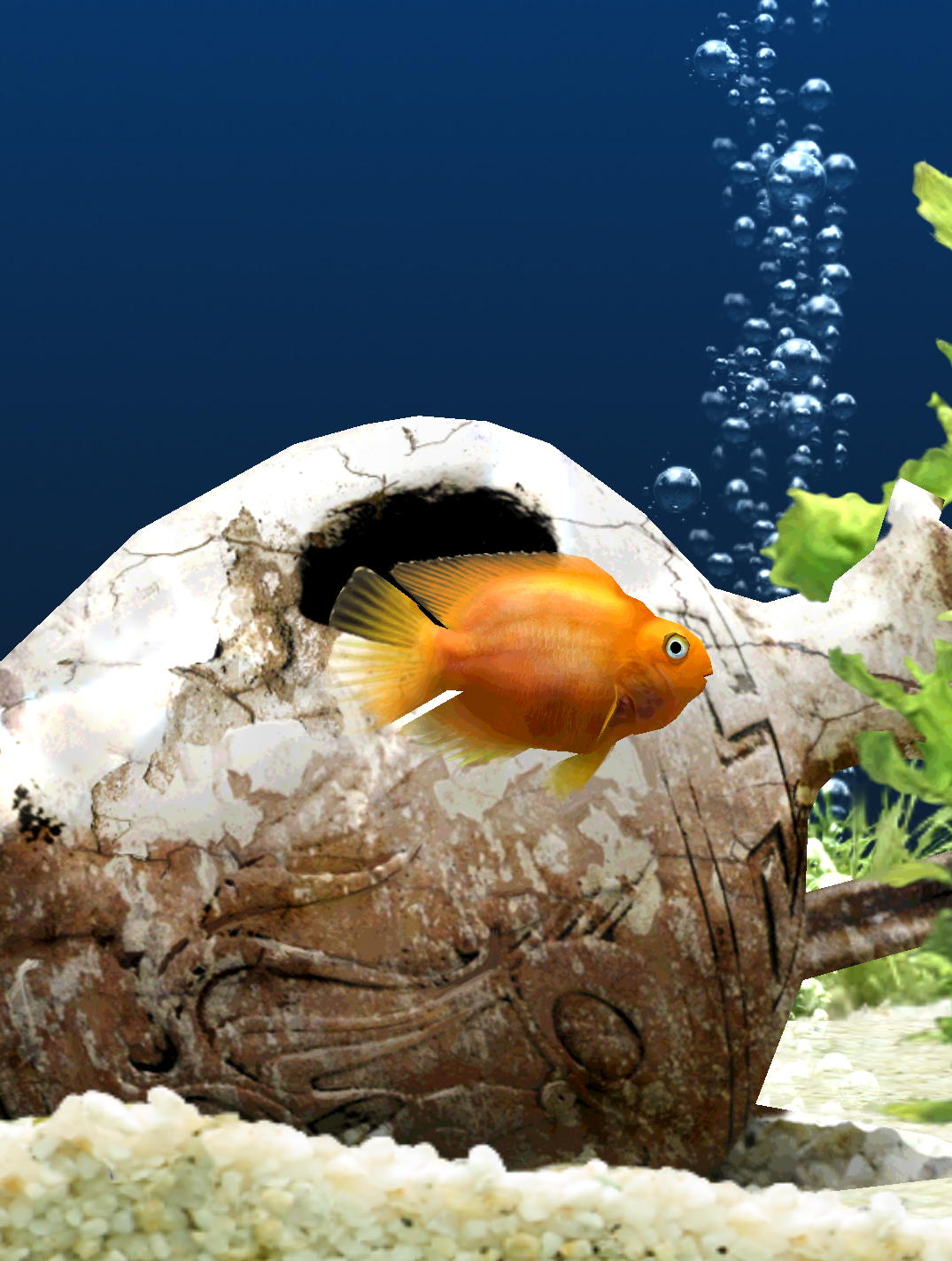 Can I look after a goldfish? - Superdecade Games