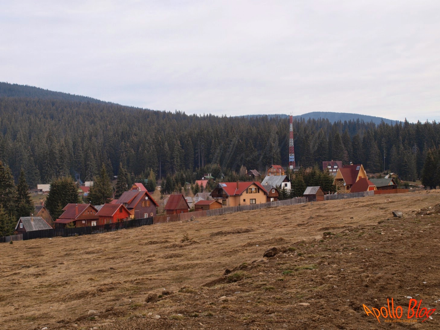 Apollo Blog: Pasul Bucin