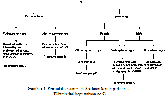 sikkahoder: infeksi saluran kemih