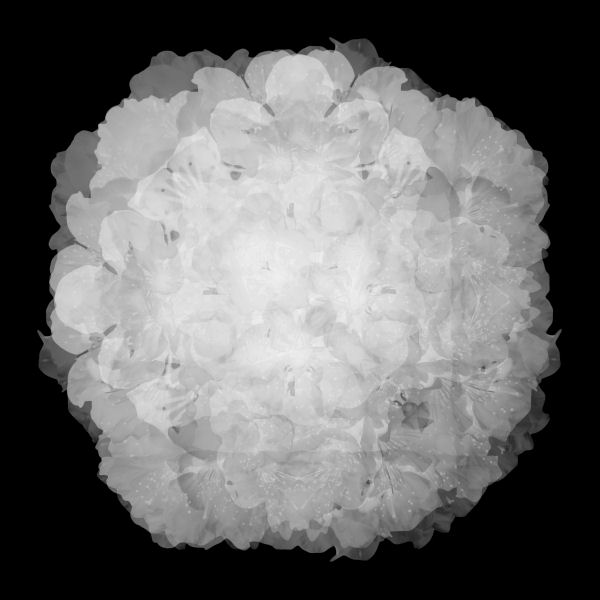 Lori's PSP Graphics: Spring/Flower Masks!