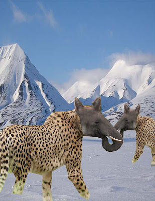 Digital Mixed Media: Unique Species