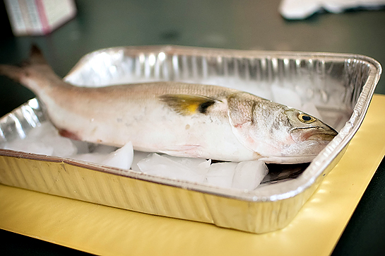 Feeding Andy: How to Fillet a Roundfish