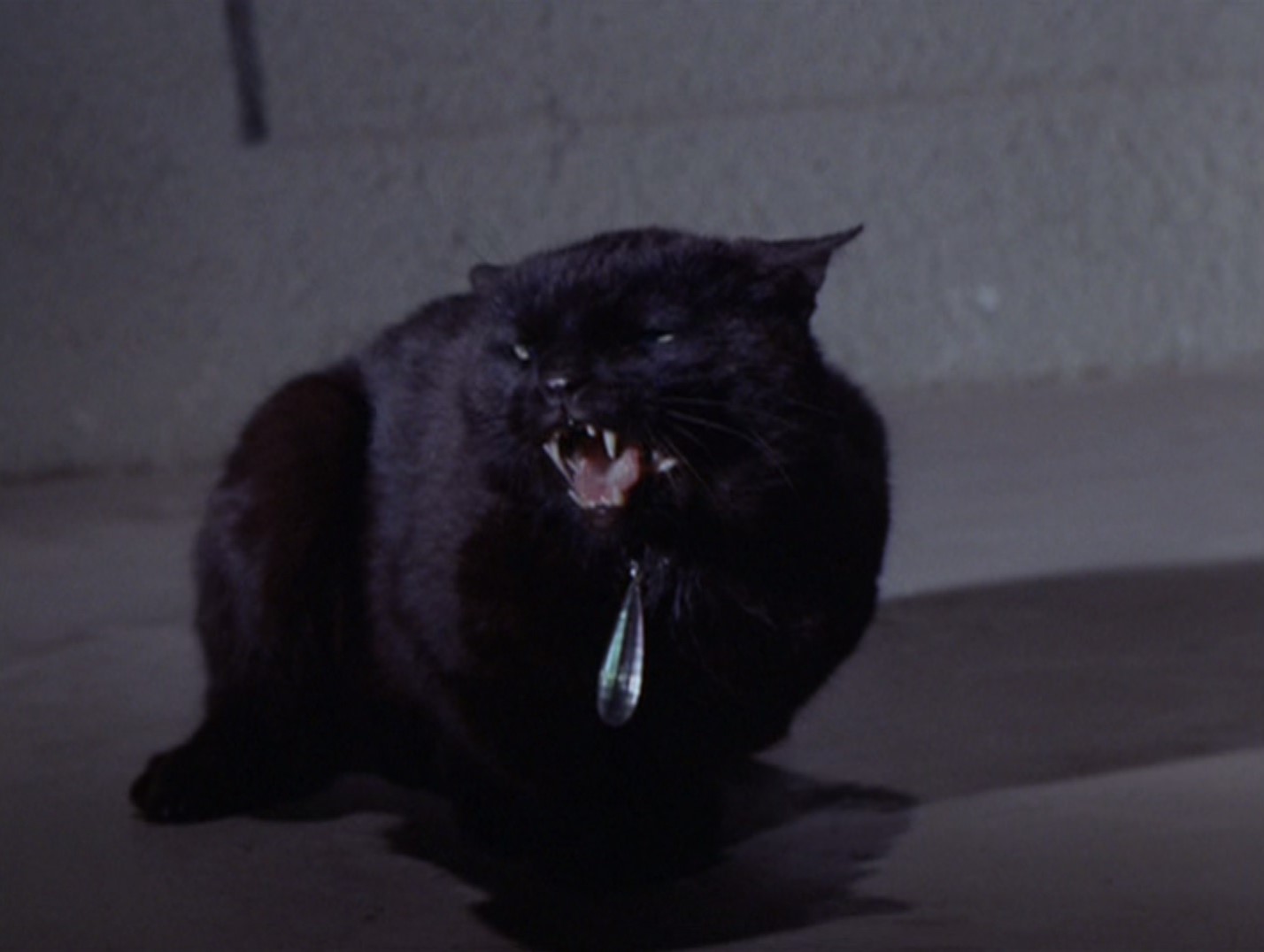 Holiday Film Reviews: Star Trek: "Catspaw"