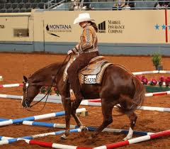 AP Quarter Horses: Practicing Trail Course Obstacles