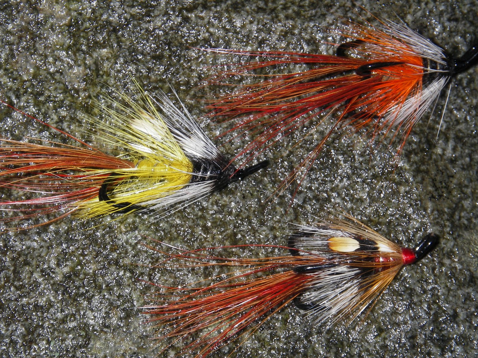 Stevie Munn. Fly Fisher.: Silver Bullets on the Fly. Mullet the Irish ...