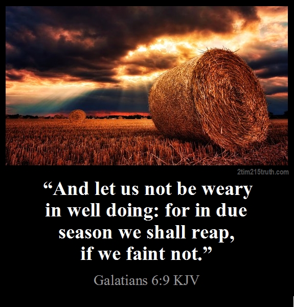 2 Timothy 2 15 Truth Verse Of The Day Galatians 6 9 KJV 2-timothy-2-15-truth-verse-of-the-day-galatians-6-9-kjv