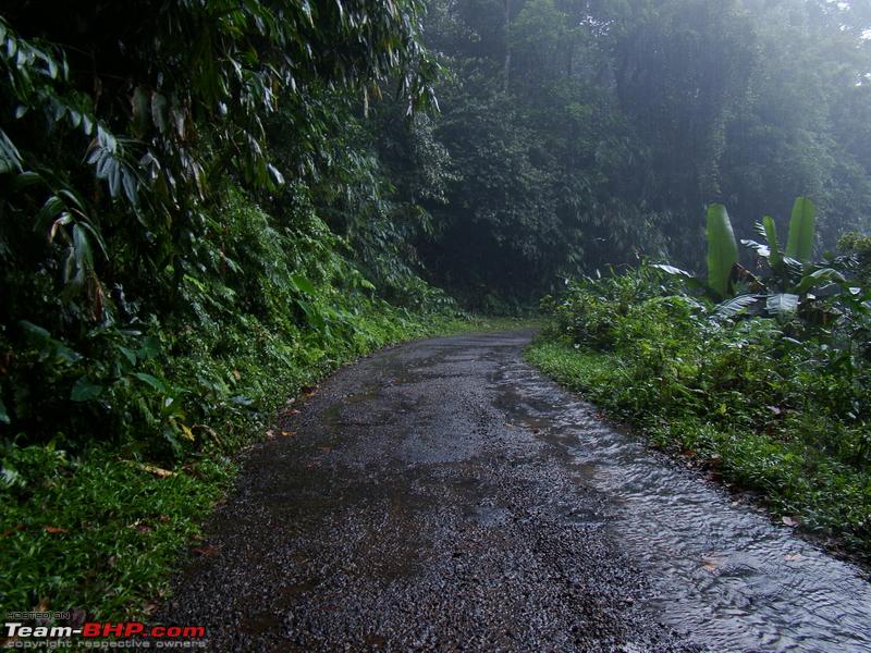 TOURISM DESTINATION IN THIRUVANANTHAPURAM: Bonacaud hill ...