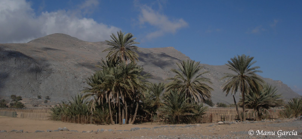 Desde Santurtzi a...: SAYH PLATEAU, MUSANDAM (Omán)