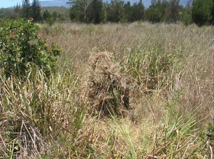 Muzaffarmus: Tengok : Begini Cara Penyamaran Dalam Tentera