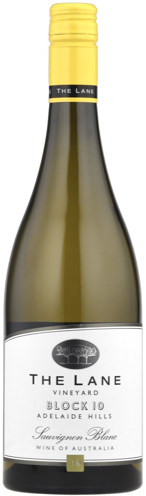 Winsor's Choice: The Lane Block 10 Vineyard Sauvignon Blanc