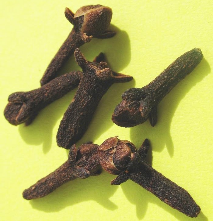 Guia de Temperos: Cravo - Menu Criativo - Receitas