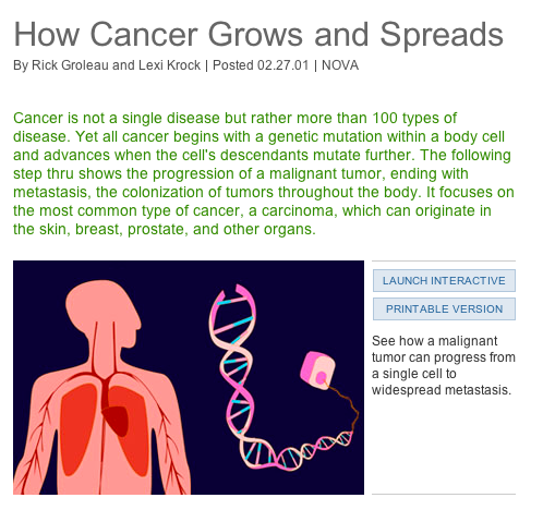 EC Honors Biology: How Cancer Grows and Spreads