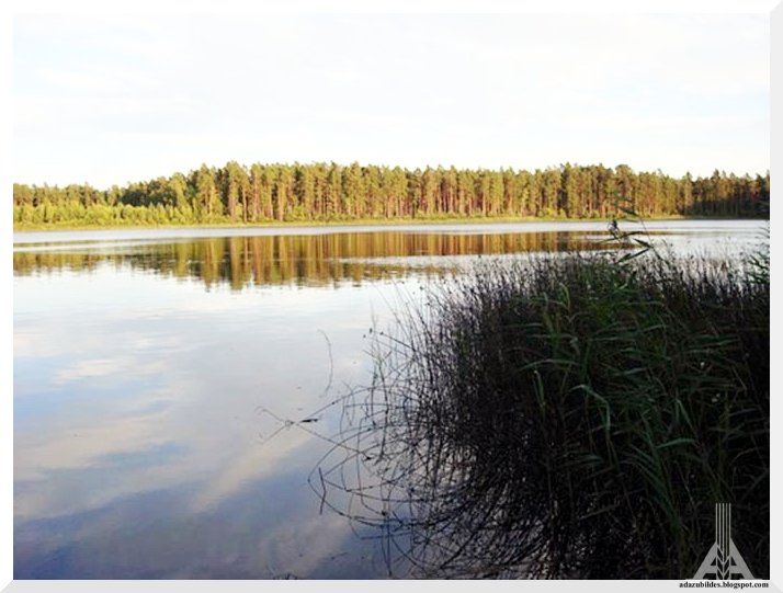 Ādažu novads cauri gadu simtiem bildēs: Lieluikas un Mazuikas ezeru ...