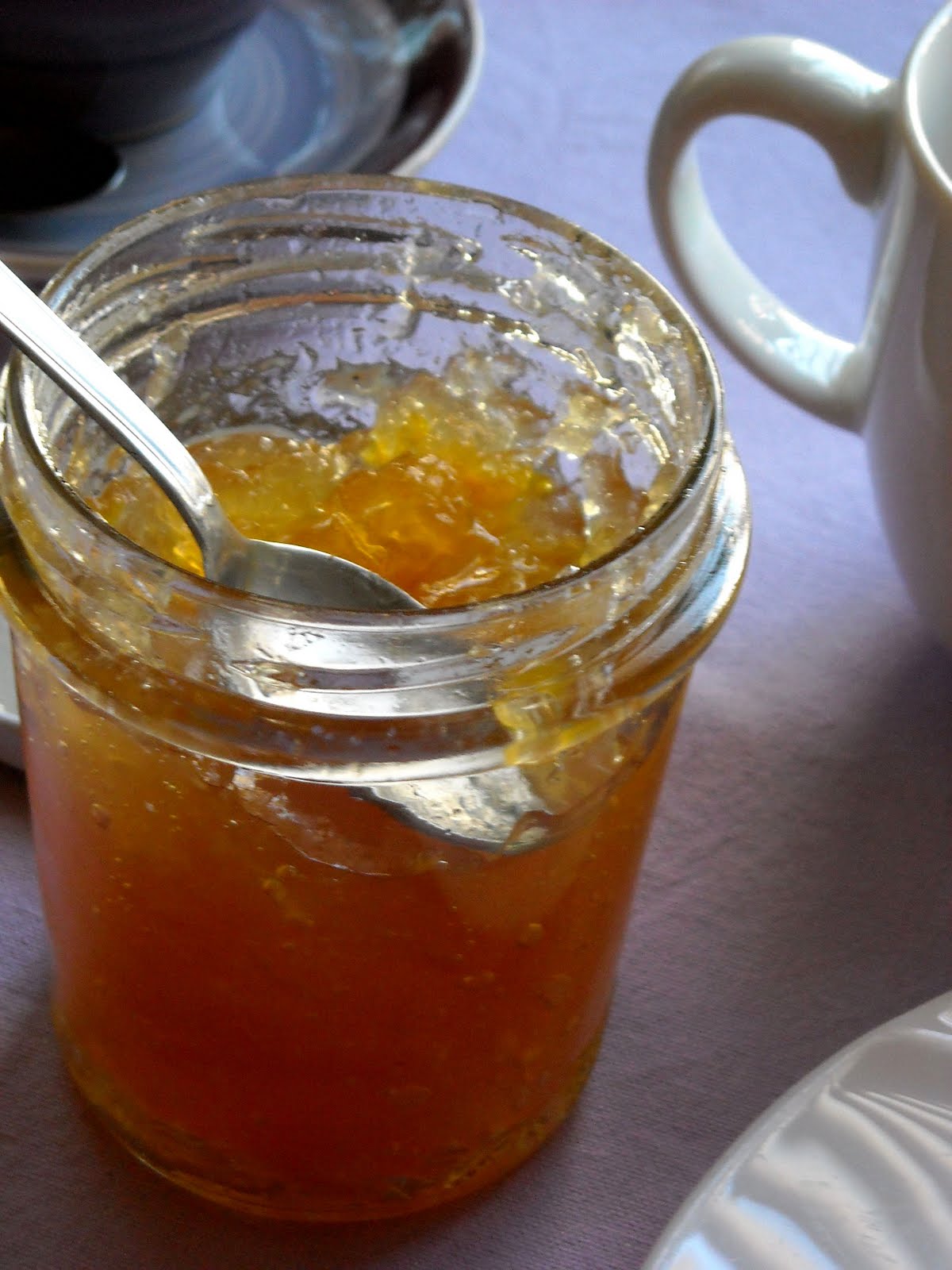 Marcella in cucina: La mia prima...Marmellata