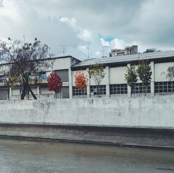 mundo flo: Autumn walks