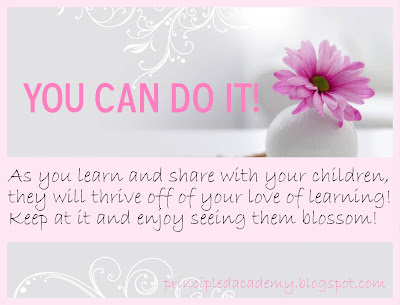 Principle Approach, Bible Principles: You CAN do it! The Principle ...