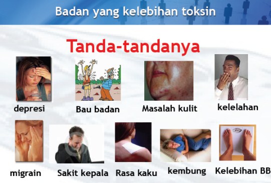 Cara Nak Periksa Toksin Dalam Badan