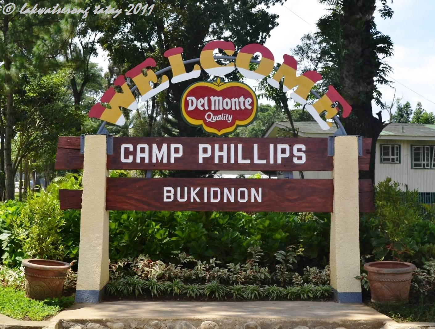 Meet the X-plorers: Bukidnon: En Route to Camp Phillips: Del Monte ...